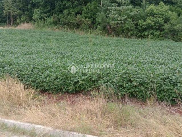 Terreno à venda no Bairro Floresta Lajeado/RS