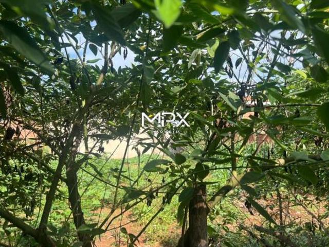 Terreno à venda no bairro Garças em Piracicaba