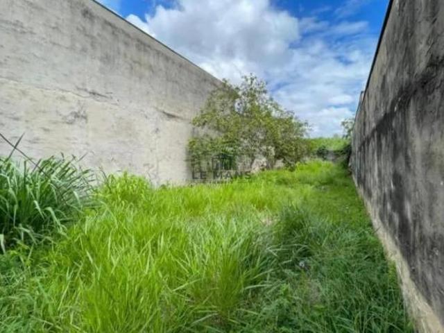 Terreno a venda no bairro Jupiá em Piracicaba/SP