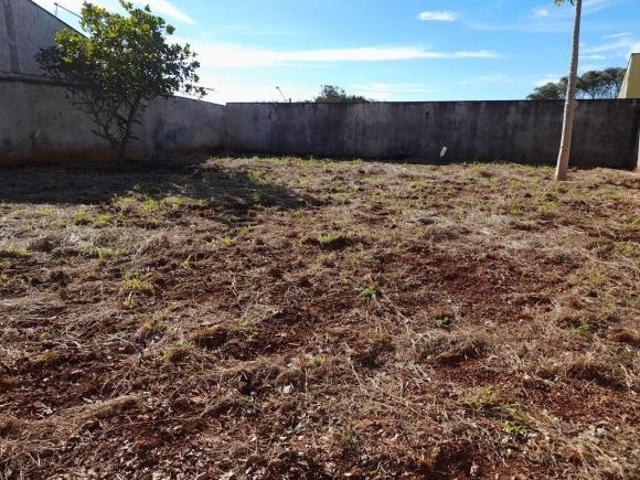 Terreno à venda no bairro Jardim Vale Azul Londrina/PR