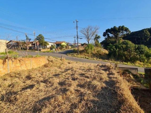 Terreno à venda no bairro Jardim Esmeralda Campo Largo/PR