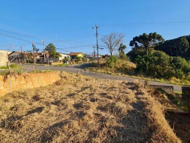 Terreno à venda no bairro Jardim Esmeralda Campo Largo/PR