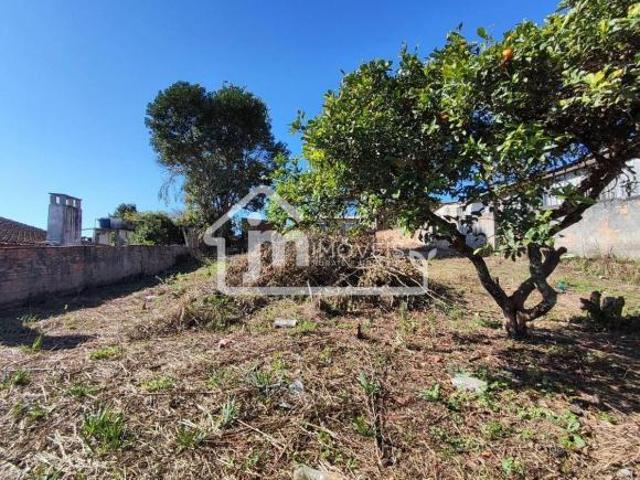 Terreno à venda no Bairro Loteamento Itaboa em Campo Largo PR