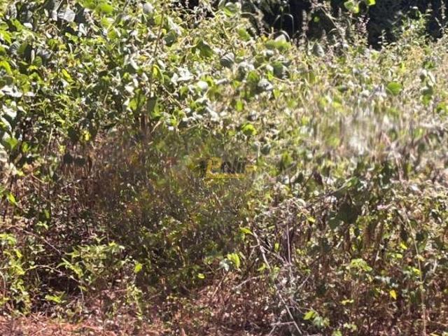 Terreno à venda no bairro Loteamento Jardim Amazônia I Barra do Garças/MT