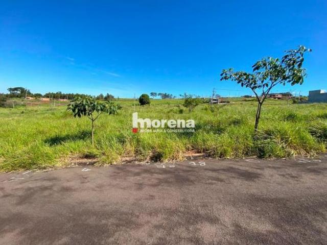 Terreno à venda no bairro PARQUE RESIDENCIAL ROMA Umuarama/PR