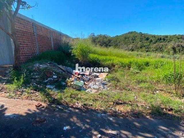 Terreno à venda no bairro PARQUE RESIDENCIAL ROMA Umuarama/PR