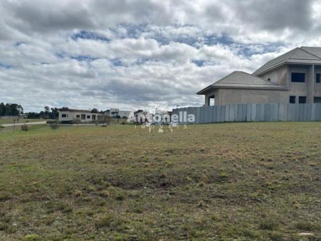 Terreno à venda no bairro Pedancino