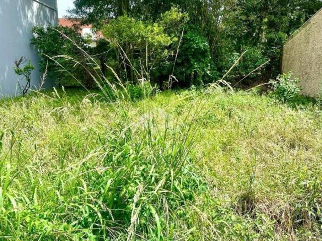 Terreno à venda no bairro Petrópolis, Caxias do Sul