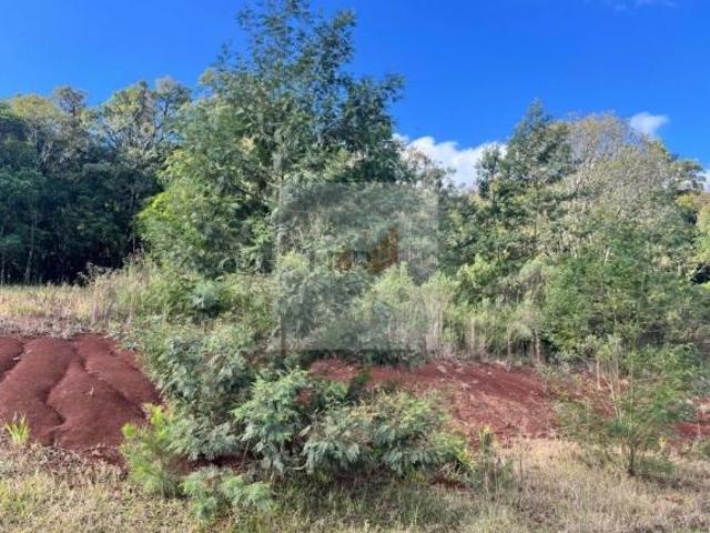 Terreno à Venda no Bairro Piá em Nova Petrópolis | Lote Residencial na Serra Gaúcha