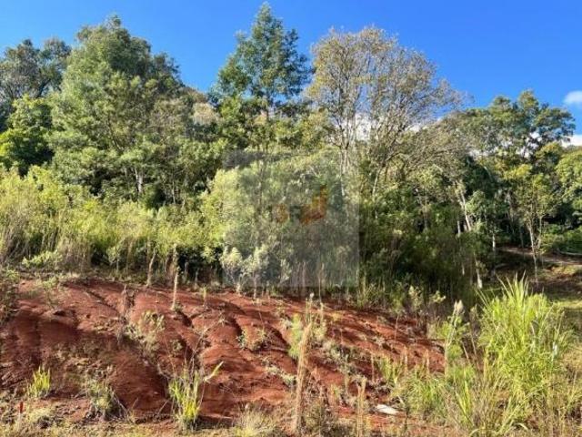 Terreno à Venda no Bairro Piá em Nova Petrópolis | Lote Residencial na Serra Gaúcha
