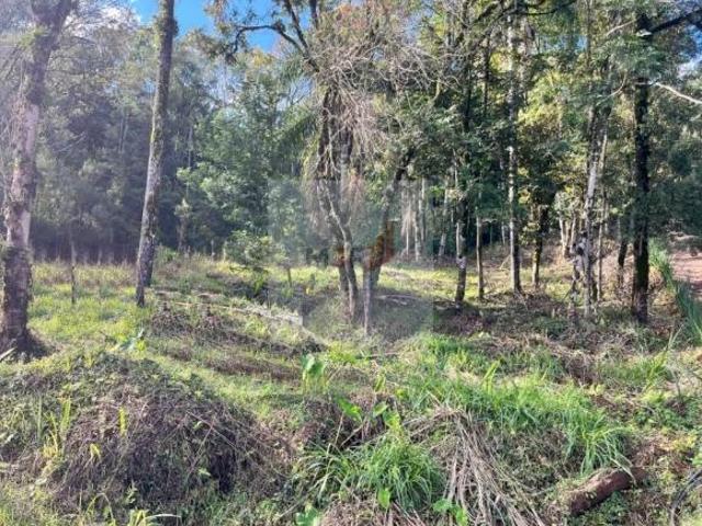 Terreno à Venda no Bairro Piá em Nova Petrópolis | Lote Residencial na Serra Gaúcha