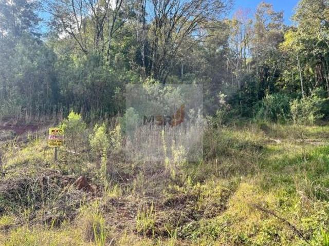 Terreno à Venda no Bairro Piá em Nova Petrópolis | Lote Residencial na Serra Gaúcha