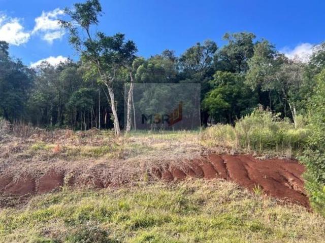 Terreno à Venda no Bairro Piá em Nova Petrópolis | Lote Residencial na Serra Gaúcha