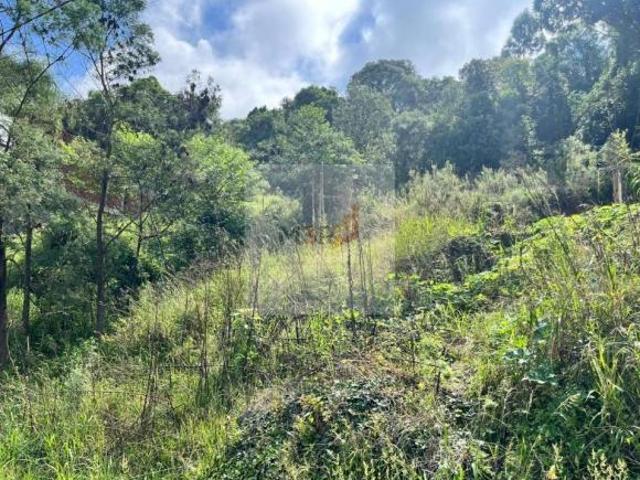 Terreno à Venda no Bairro Piá | Nova Petrópolis | 406m² Acima do Nível da Rua | Investimento Serra G