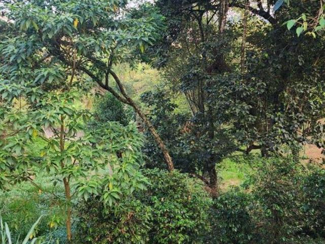 Terreno à venda no bairro Polvilho Cajamar/SP