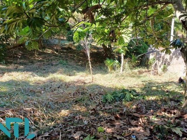 Terreno a venda no bairro Praia do Arrastão, São Sebastião/SP