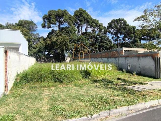 Terreno à venda no bairro Rio Pequeno São José dos Pinhais/PR