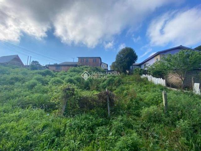 Terreno à venda no bairro Rincão