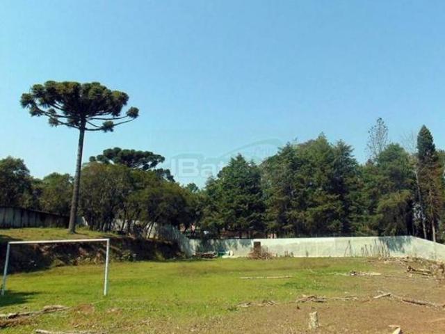 Terreno à venda no bairro Rondinha Campo Largo/PR