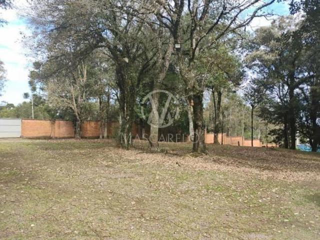 Terreno à venda no bairro São Virgílio Caxias do Sul/RS