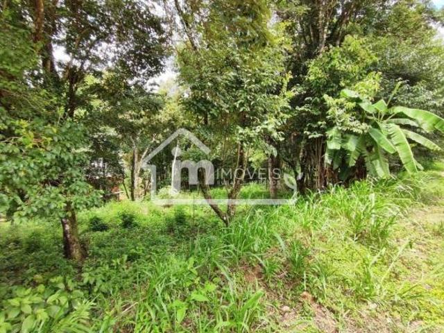 Terreno a venda no Bairro São Caetano Balsa Nova/PR