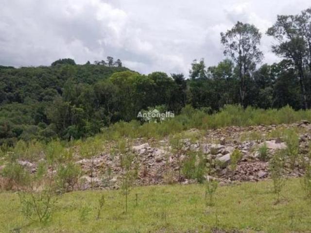 Terreno à venda no bairro São Giácomo