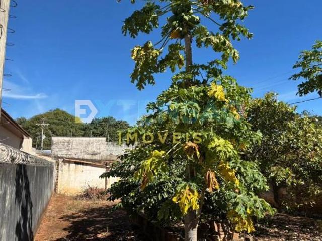 TERRENO à venda no bairro SÃO JOAQUIM, ARAÇATUBA cod:34171