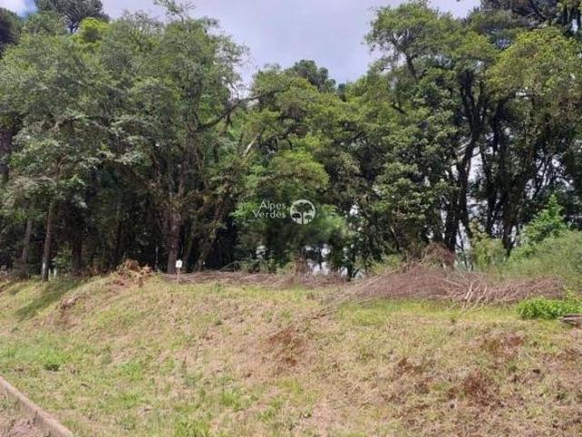 Terreno à venda no bairro São Luís em Canela Lote 37 / Área de 553,55m²