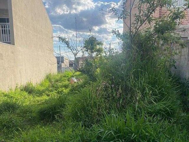 Terreno à venda no bairro SÃO MARCOS São José dos Pinhais/PR