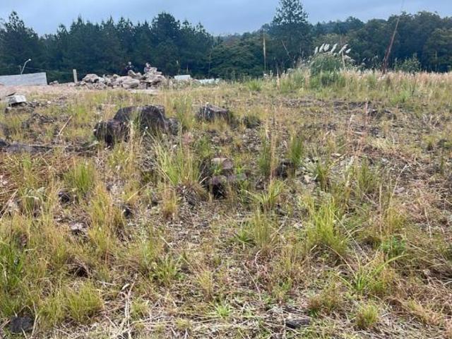 Terreno a venda no bairro Sao Francisco em Farroupilha