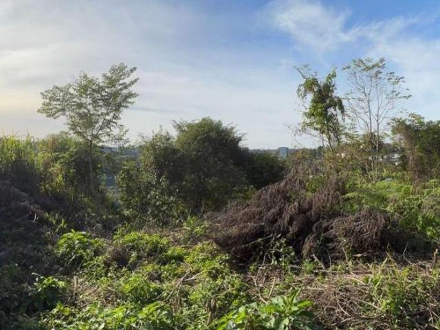 Terreno à venda no bairro Salgado Filho