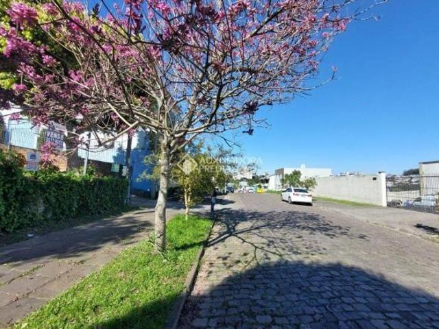 Terreno à venda no bairro Santa Catarina em Caxias do Sul