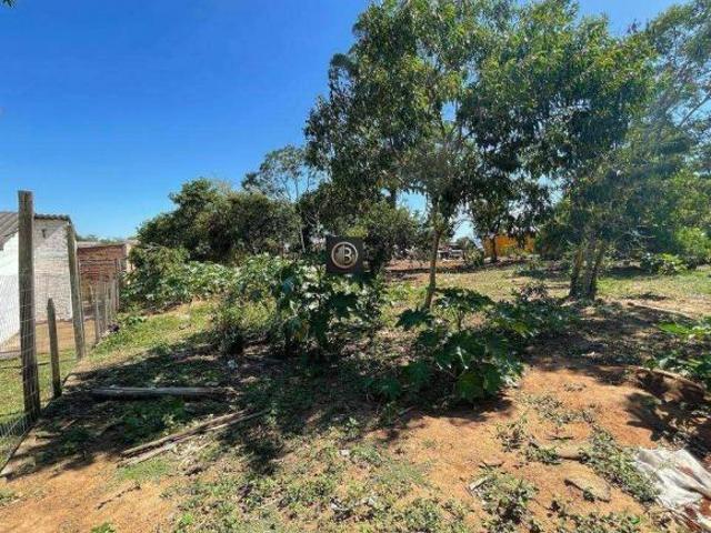 Terreno à venda no bairro Santa Cruz, Gravatai, 3259m²