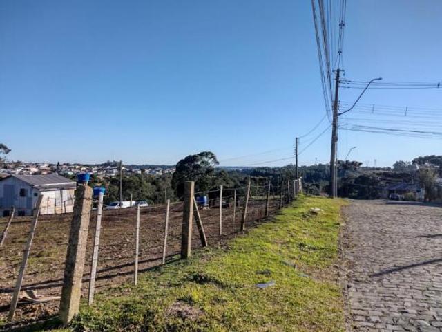 Terreno à venda no bairro Serrano