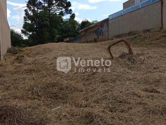 Terreno à venda no bairro Tingui – Curitiba/PR