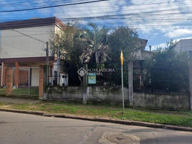 Terreno a venda no bairro Tristeza