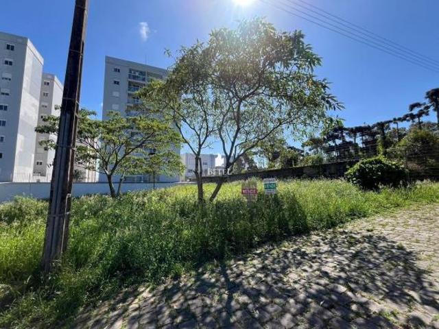 Terreno à venda no bairro Vinhedos Caxias do Sul/RS