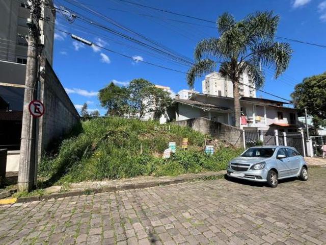 Terreno à venda no bairro Vinhedos Caxias do Sul/RS