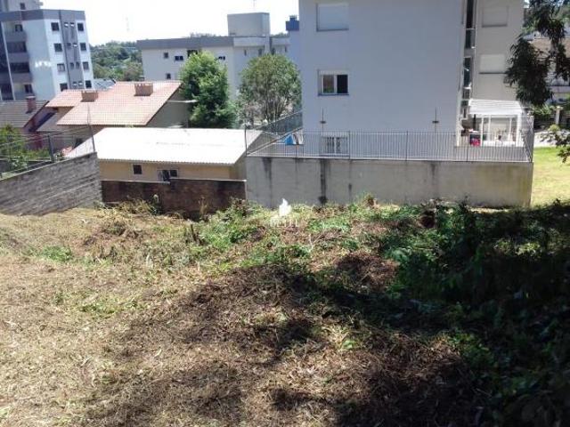 Terreno à venda no bairro Vinhedos Caxias do Sul/RS