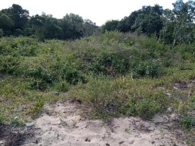 terreno a venda no balneario gaivotas em itanhaém