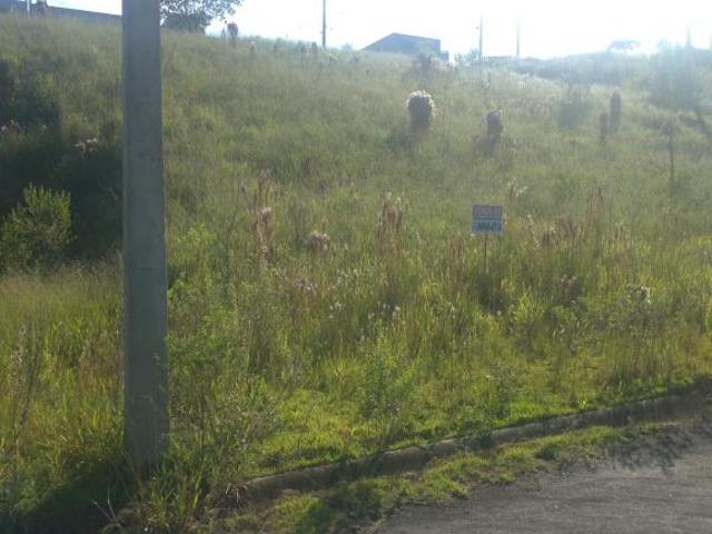 Terreno à venda no Geoville, Toledo Mg