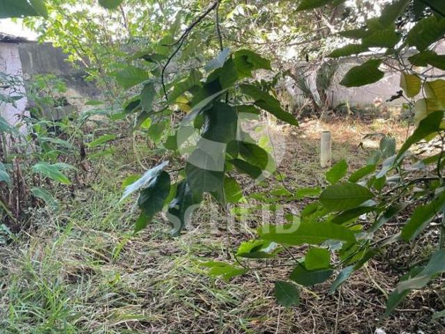terreno a venda no Jabaquara