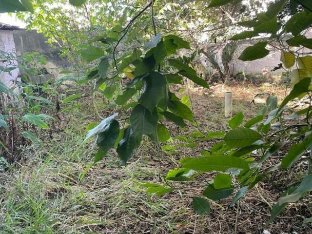 terreno a venda no Jabaquara