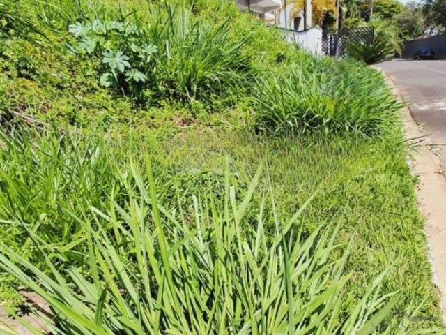 Terreno à venda no Jardim Nova Palmares em Valinhos/SP