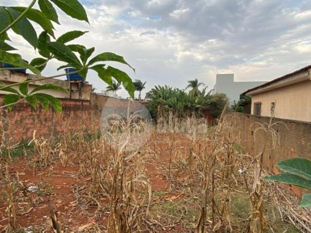 Terreno à Venda no Jardim Amélia, Americana por R$300.000