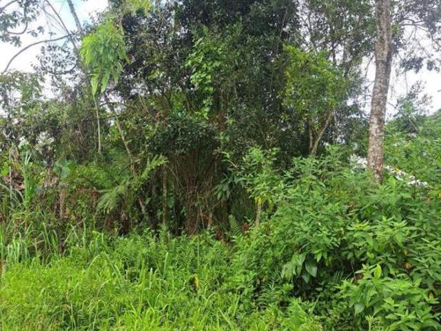 Terreno à venda no Jardim Coronel