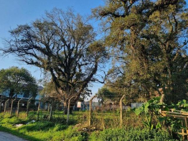 Terreno à venda no Jardim Guarituba