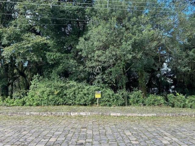 Terreno à venda no Jardim Glória