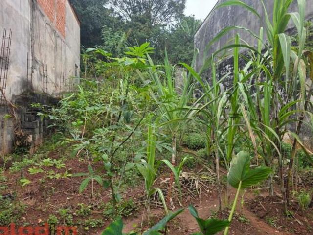 TERRENO A VENDA NO JARDIM HERPLIN EM PARELHEIROS