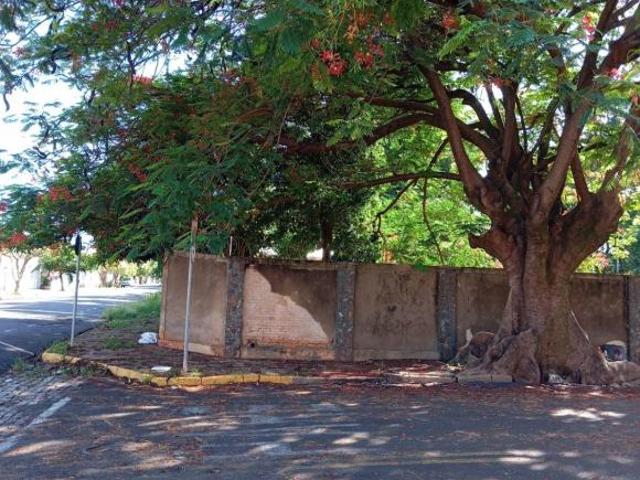 Terreno à Venda no Jardim Popi, Birigui